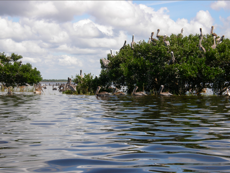 bootsbaugarage.ch - Derrick Key Lament